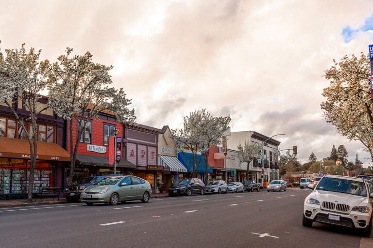 Sebastopol Profile - City of Sebastopol, California